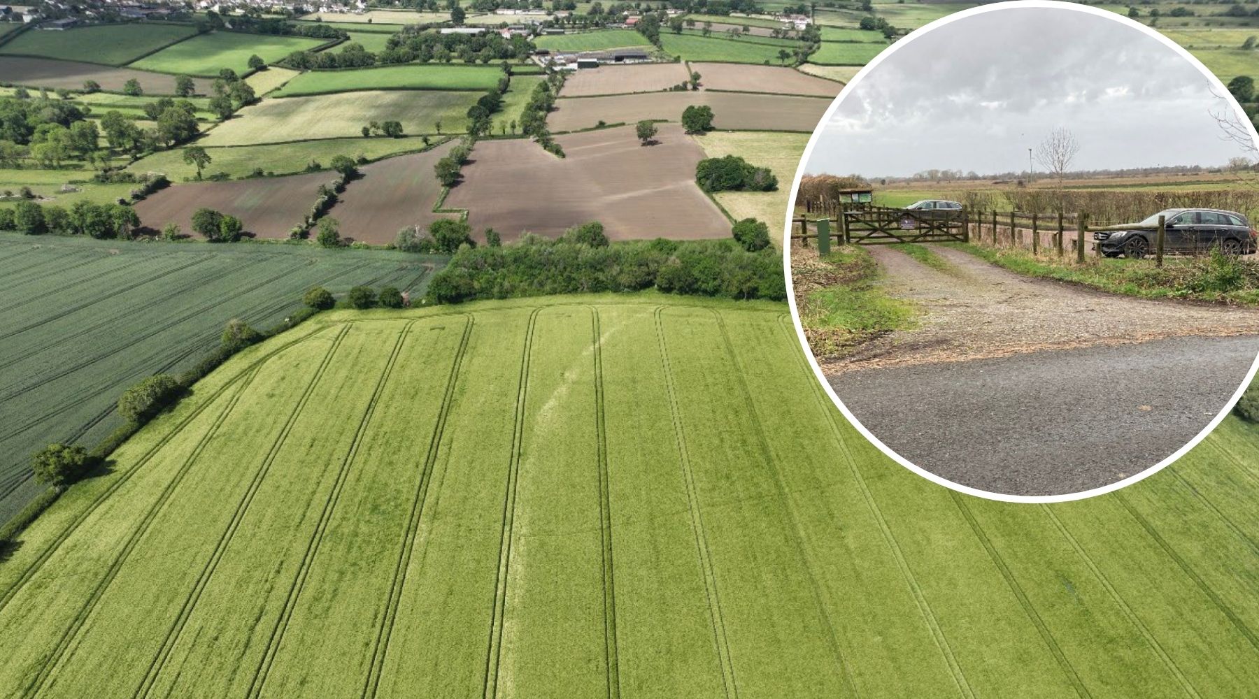 Plans submitted for new 25-hectare Somerset Levels wetland between Bridgwater and Street | The ...